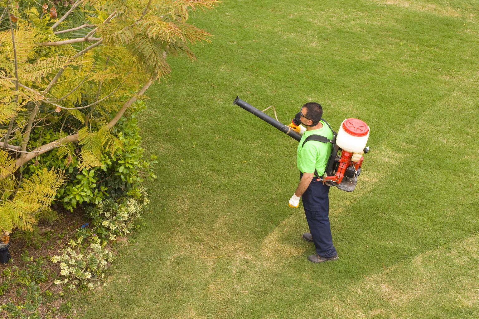 Mosquito Control - A3 SUPERIOR PEST CONTROL LLC